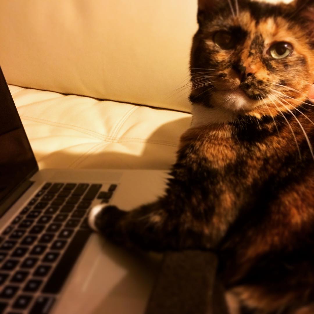 Team | Wagner Lab at KU